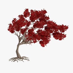 Nature Red-Maple 3D Models for Download | TurboSquid