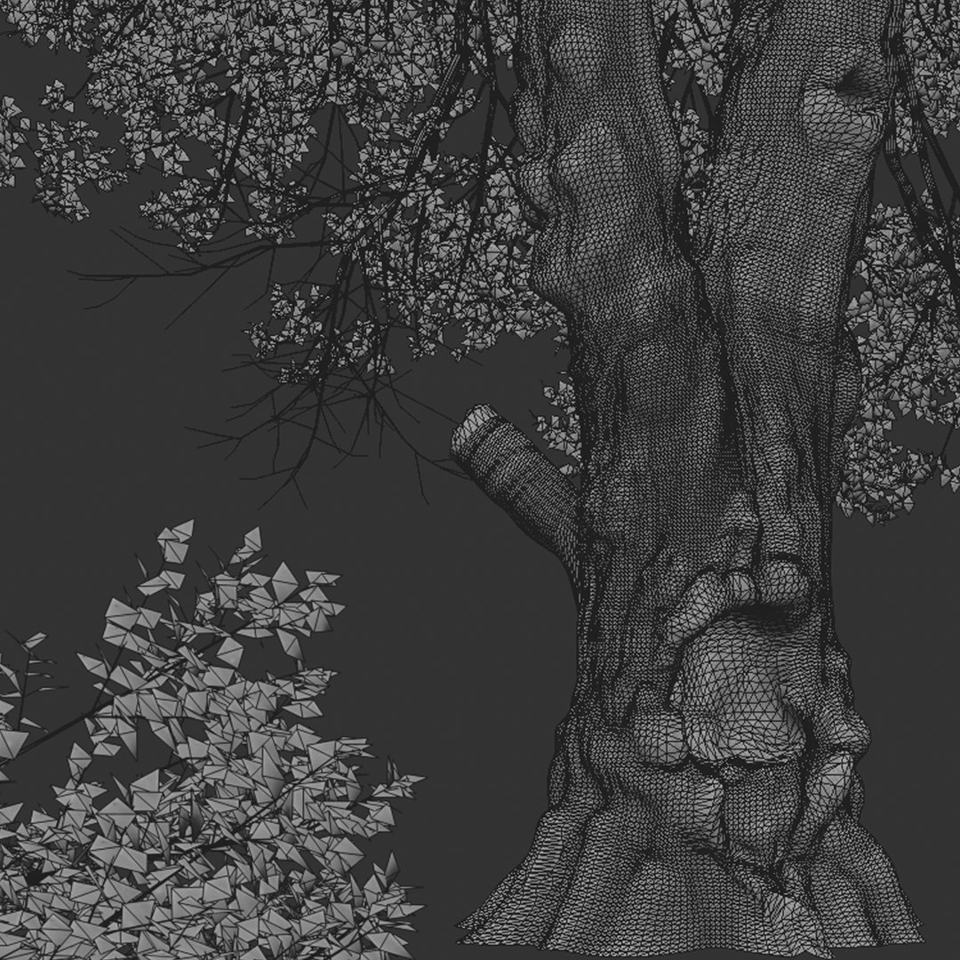 Set of Field Elm or Ulmus minor Trees - 2 Trees 3D model - TurboSquid ...