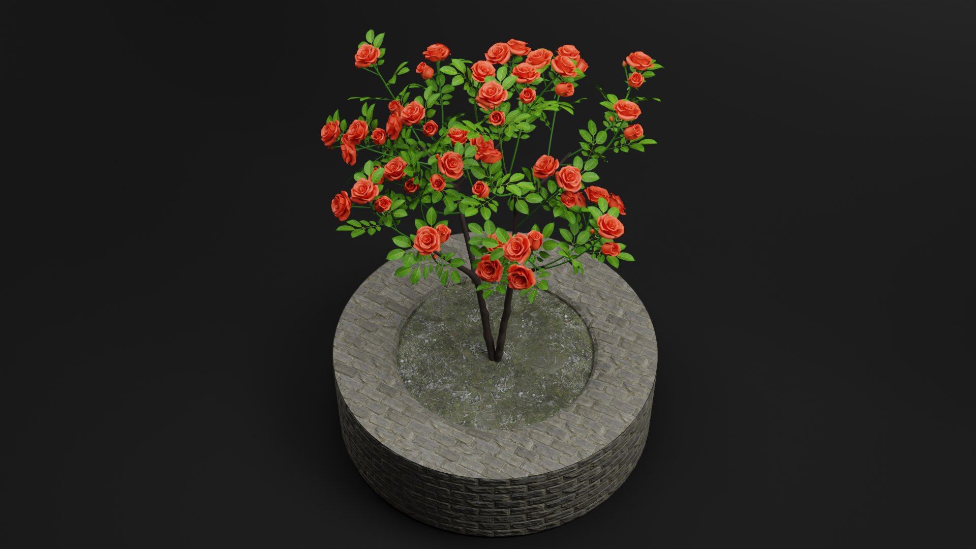 Rose Plant 3D Model - TurboSquid 2067767