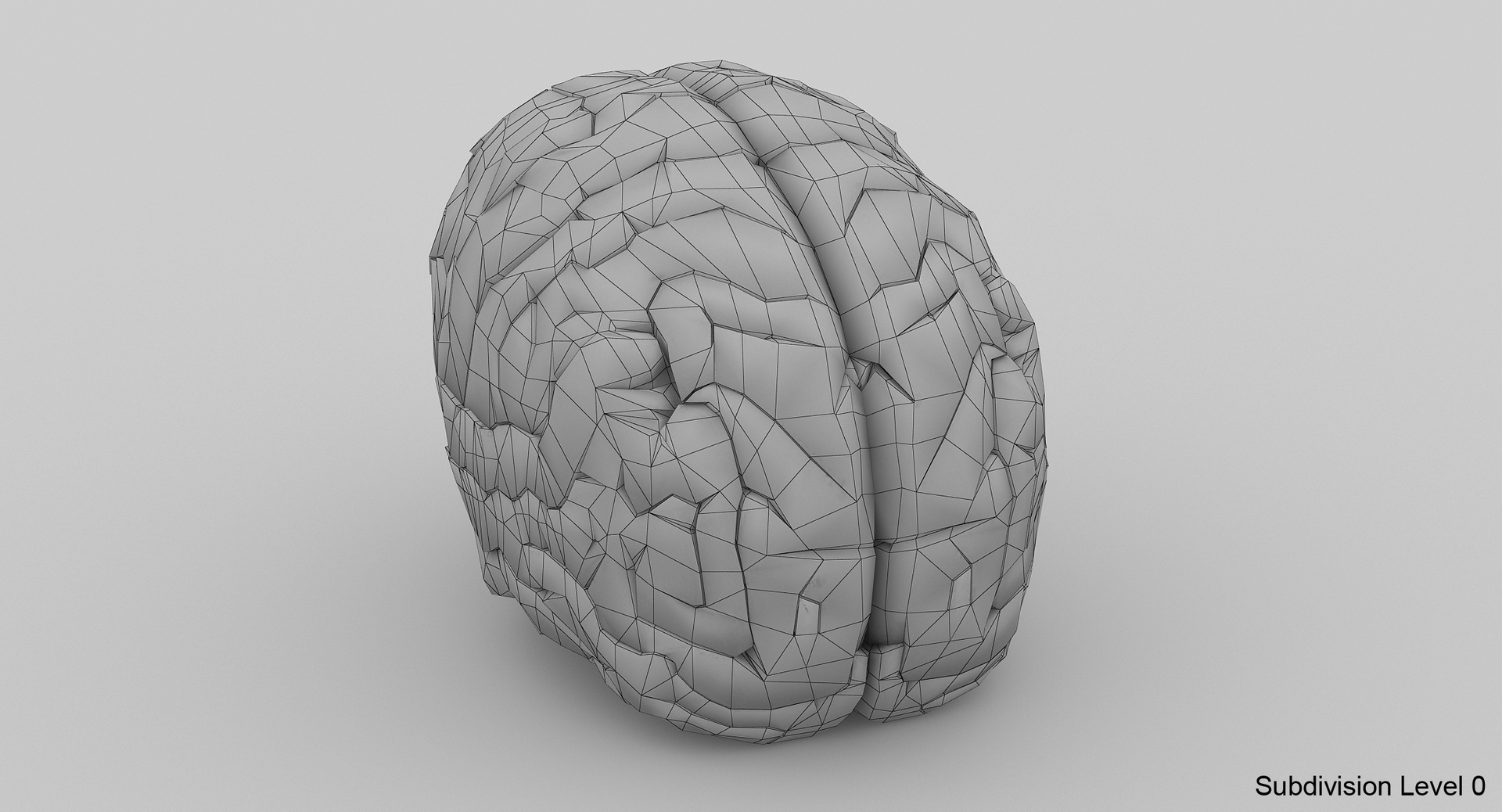 human brain 3ds