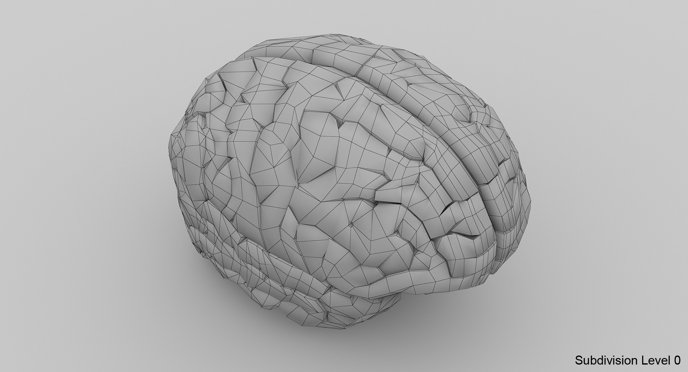 human brain 3ds