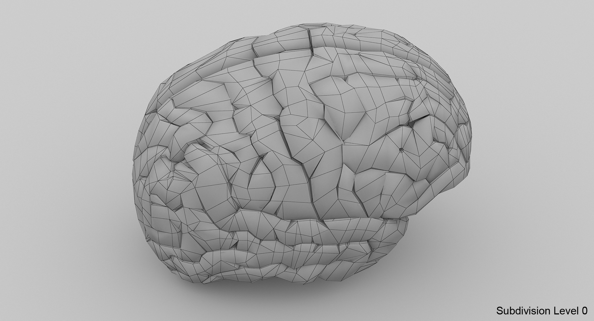 human brain 3ds