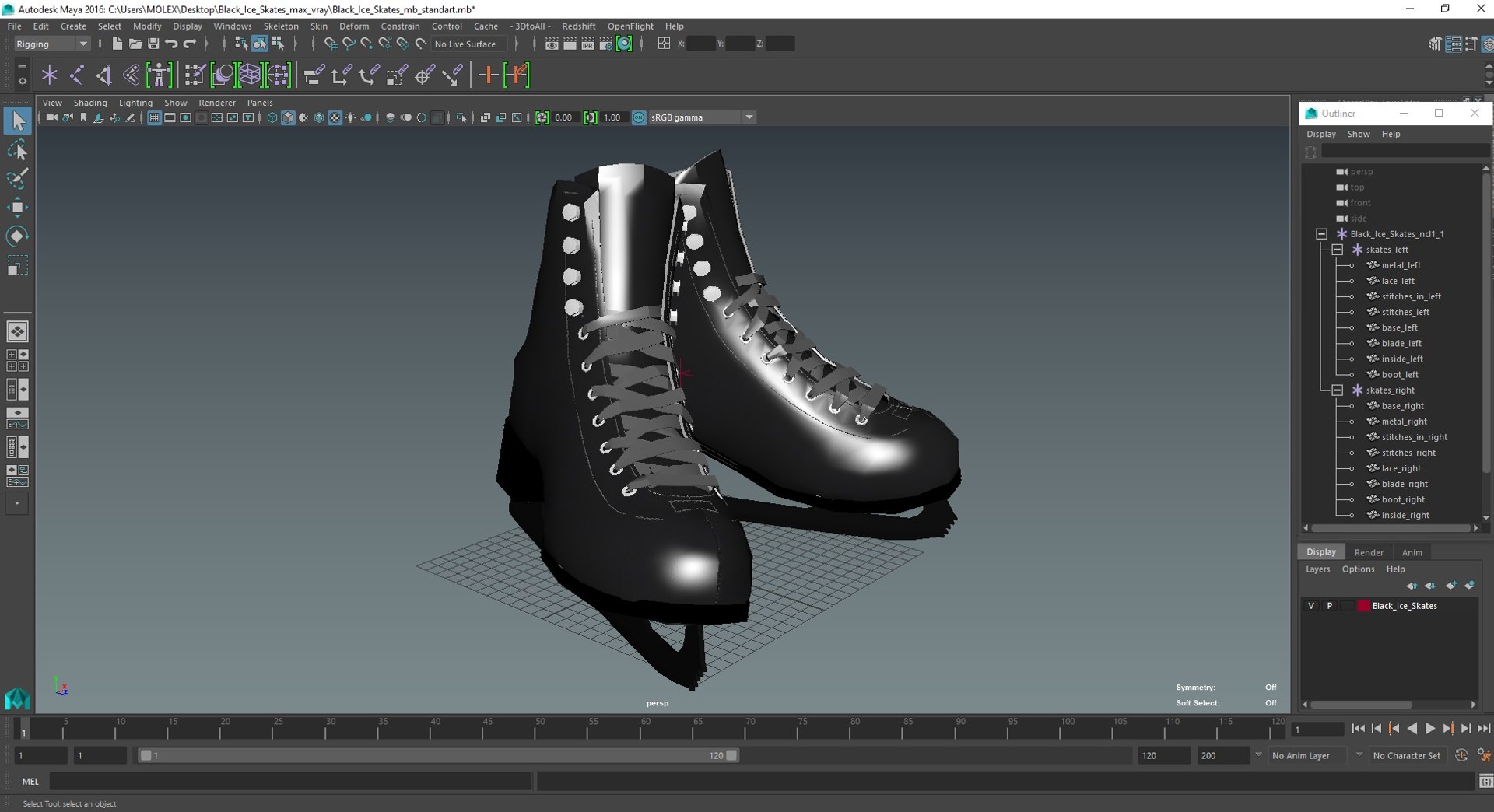 Black Ice Skates 3D - TurboSquid 2127778