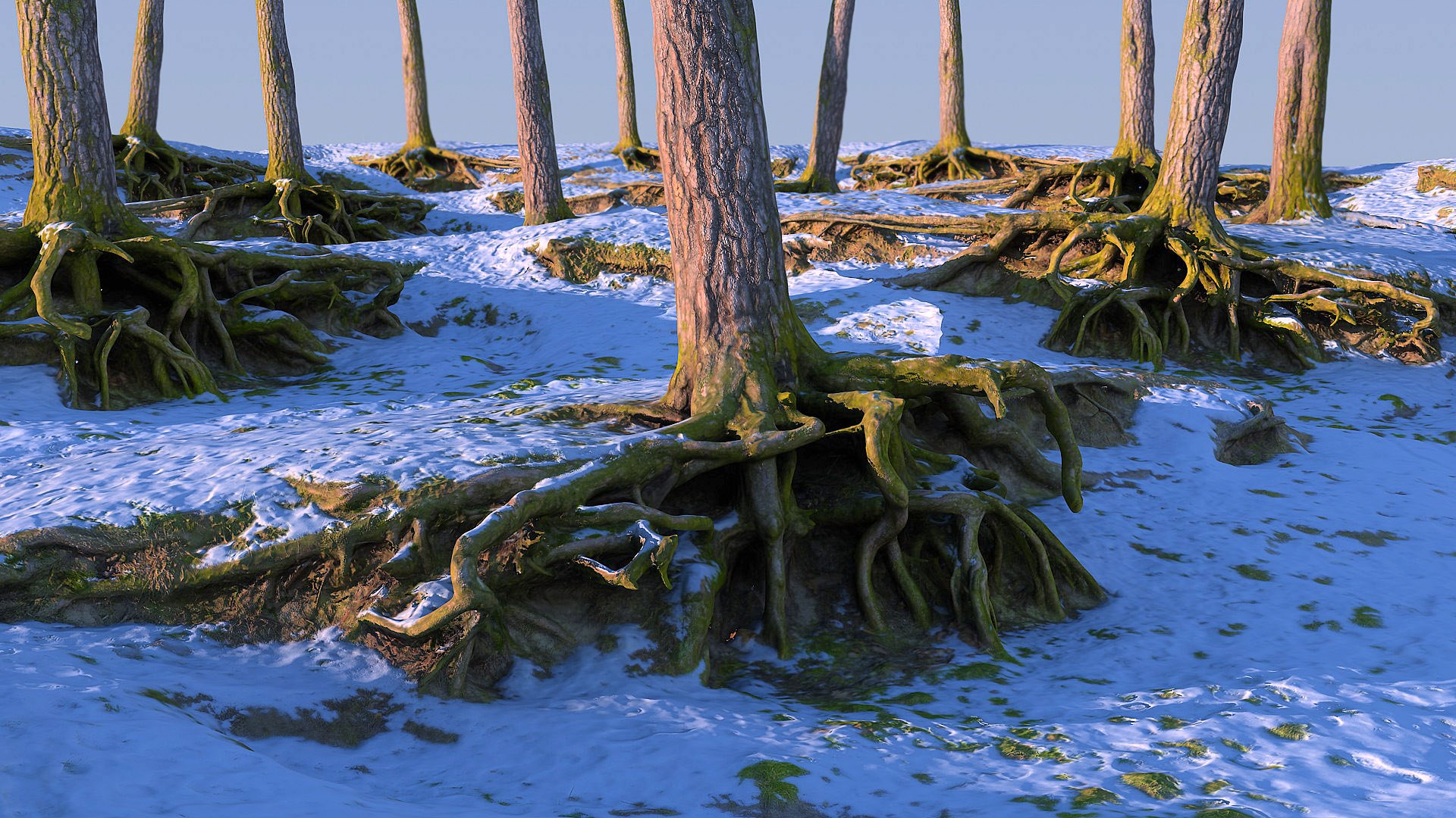 Winter Forest 3d Max