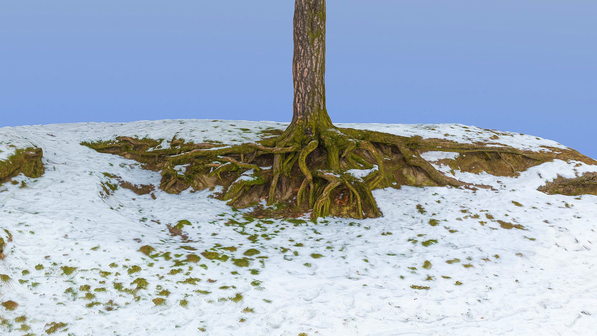 Winter Forest 3d Max