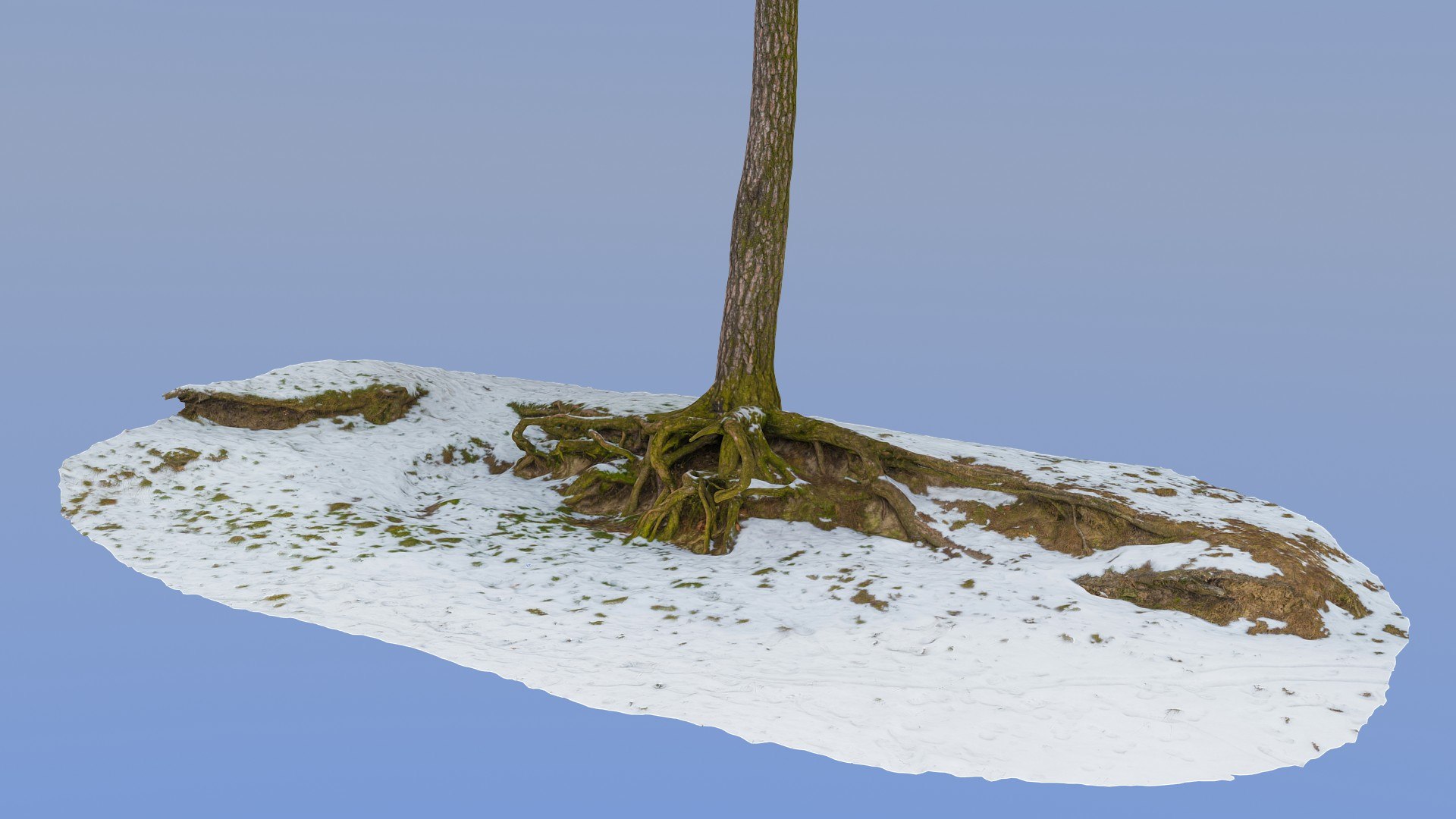 Winter Forest 3d Max