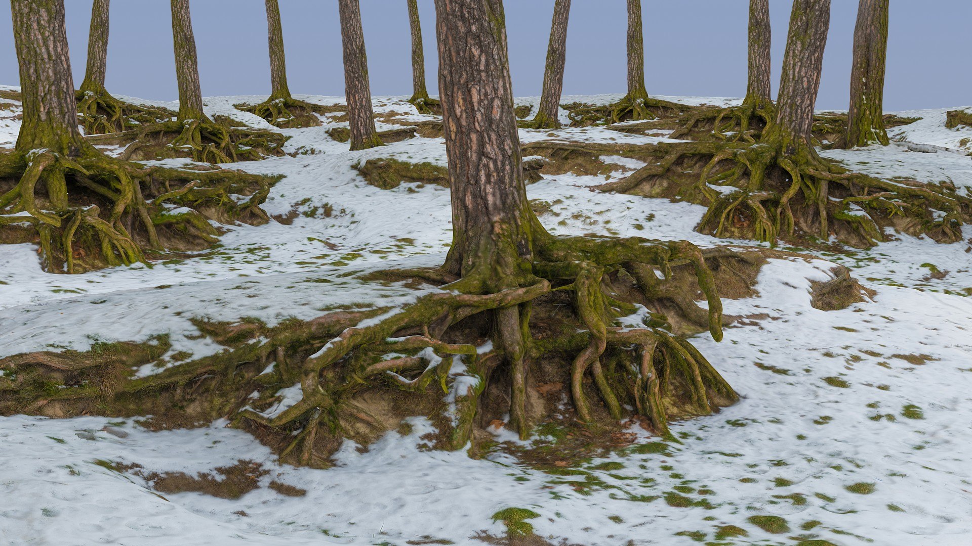 Winter Forest 3d Max
