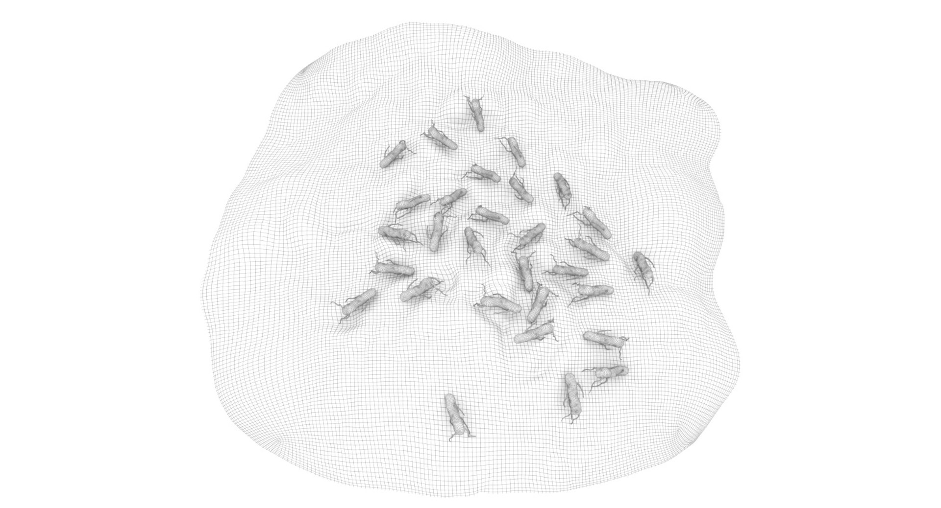 Salmonella 3D Model - TurboSquid 1322275