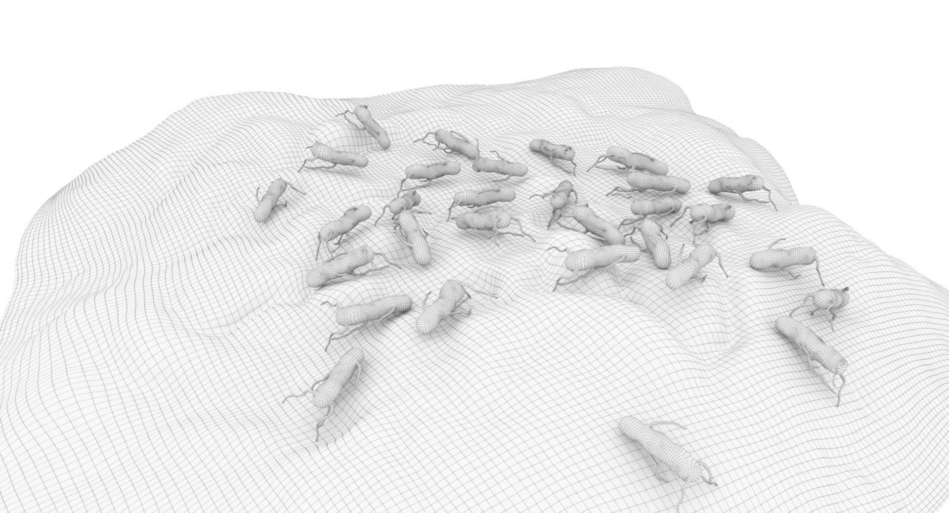 Salmonella 3D Model - TurboSquid 1322275