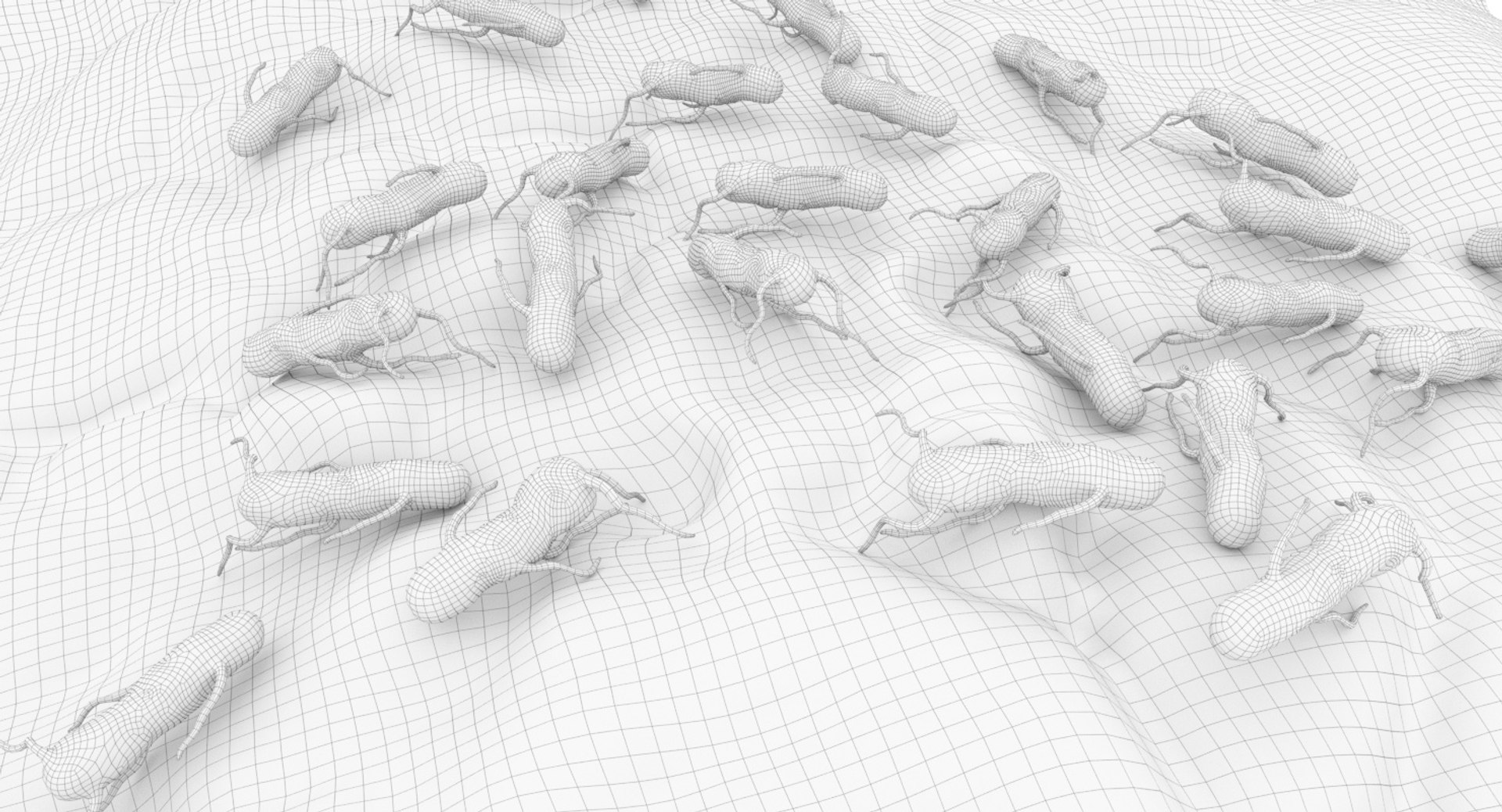 Salmonella 3D Model - TurboSquid 1322275