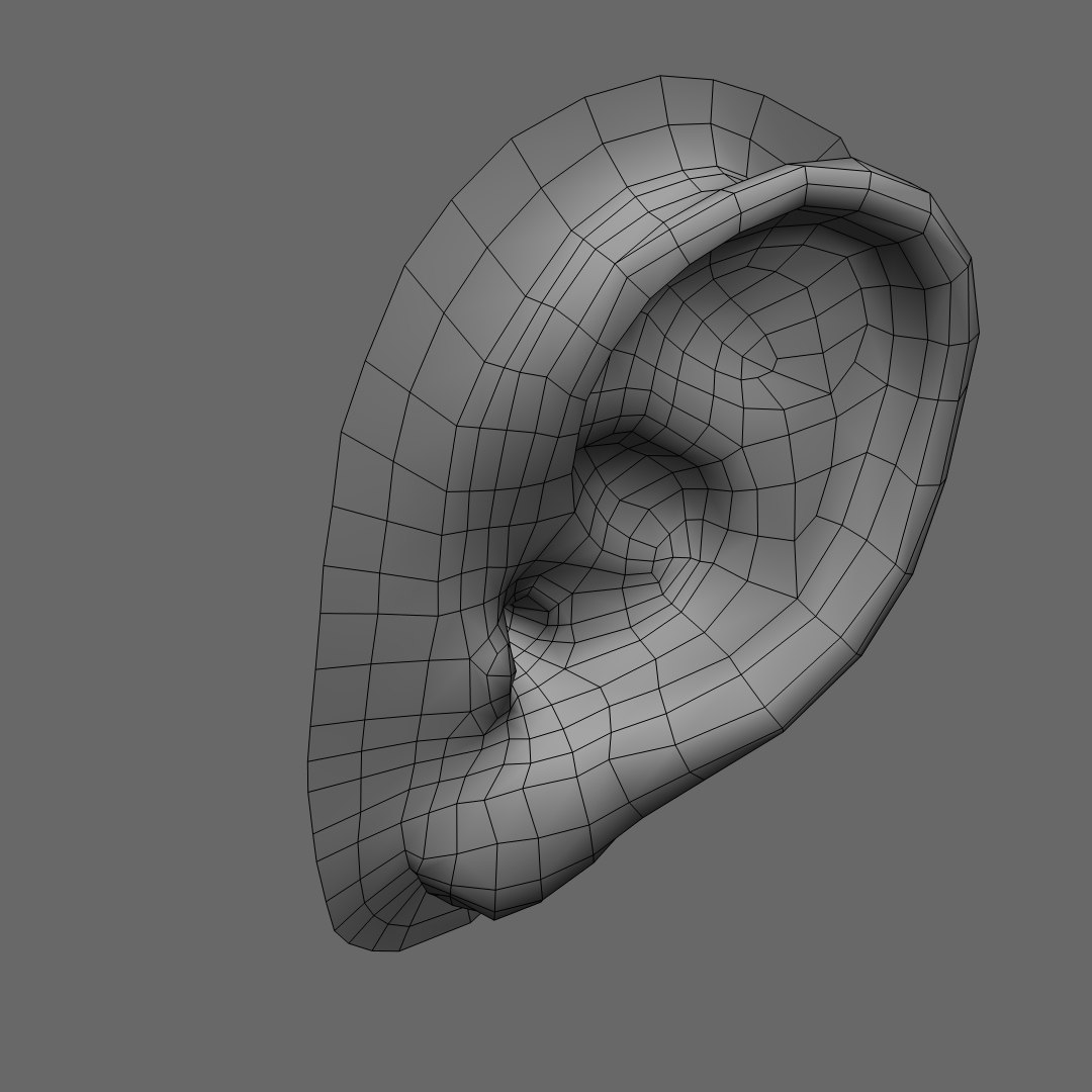 ear 3d model