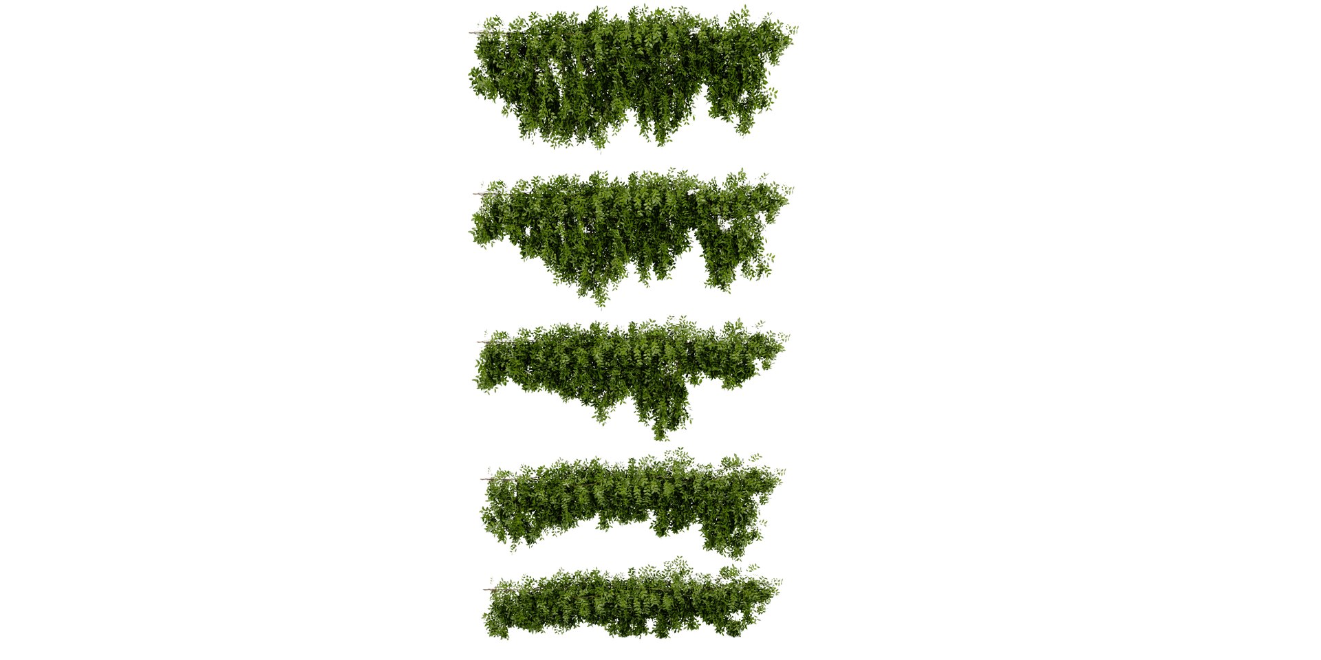 Collection plant vol 464 - blender model model - TurboSquid 2099206