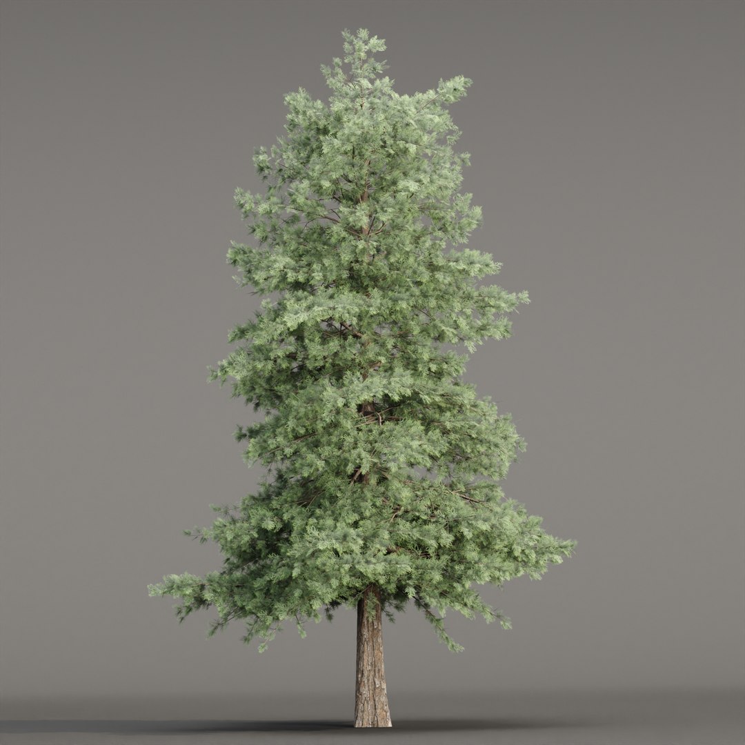 3D Model Conifer Trees Vol 78-3dmodel - TurboSquid 2233706