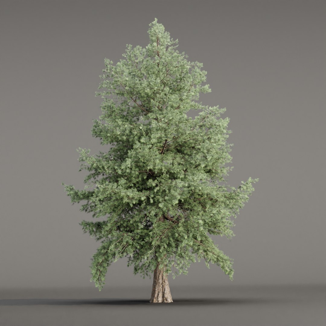 3D Model Conifer Trees Vol 78-3dmodel - TurboSquid 2233706