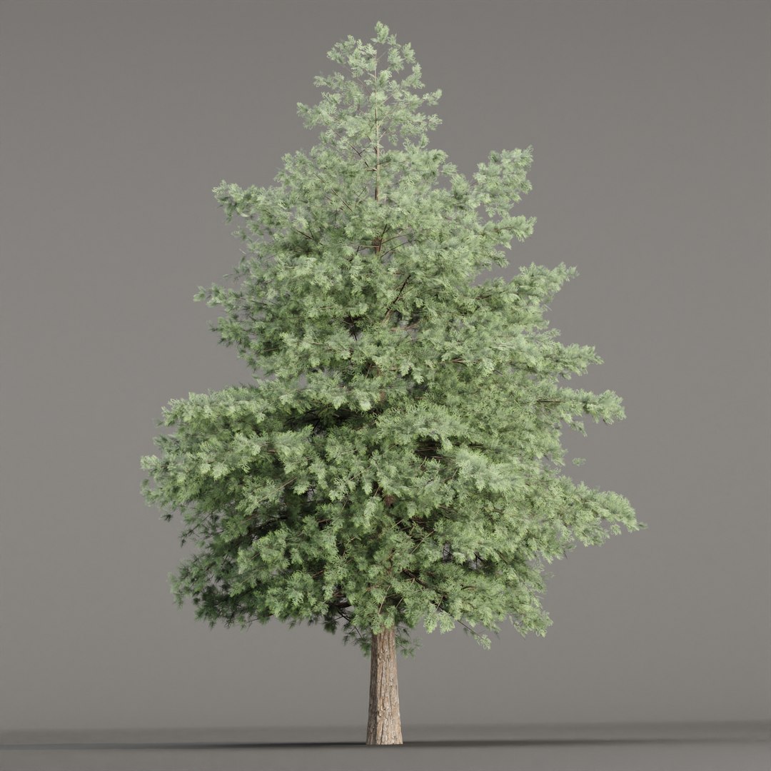 3D Model Conifer Trees Vol 78-3dmodel - TurboSquid 2233706