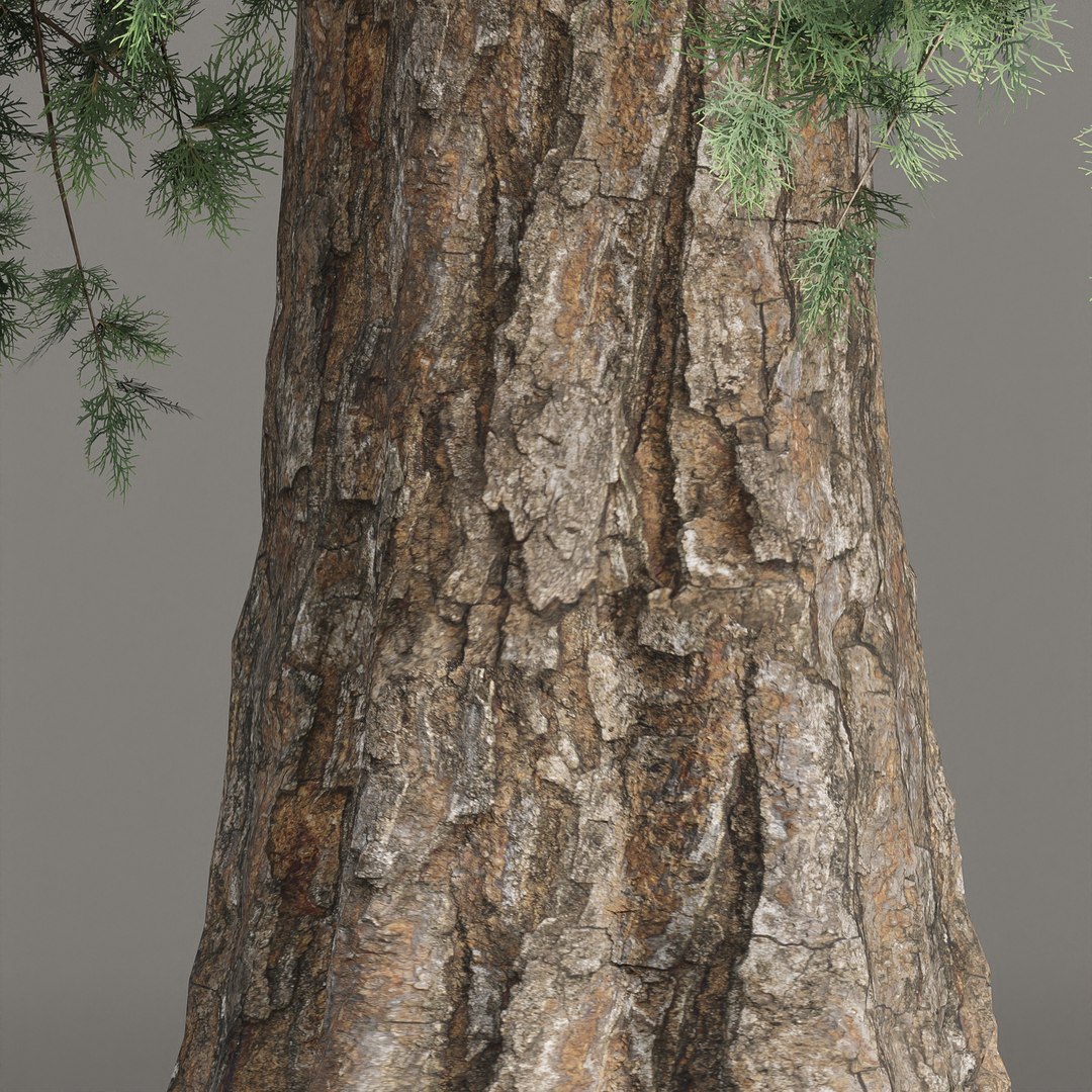 3D Model Conifer Trees Vol 78-3dmodel - TurboSquid 2233706
