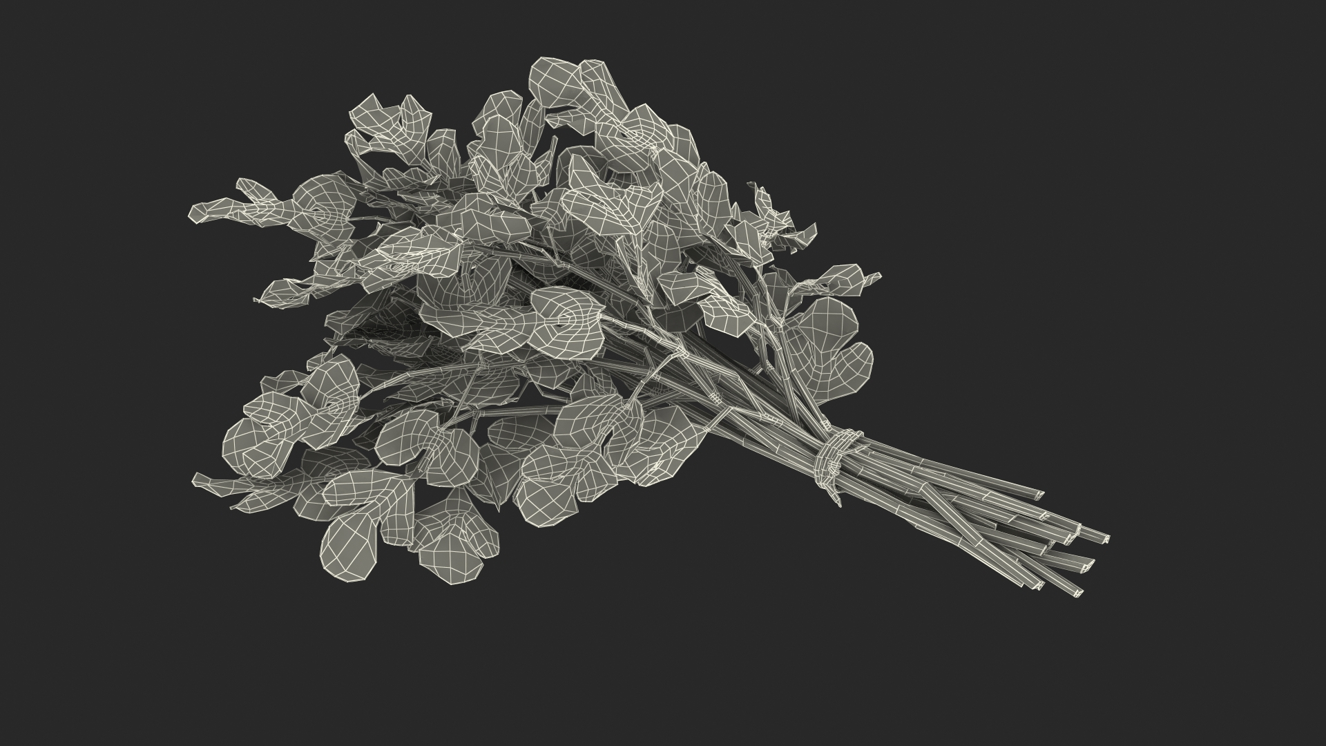 Cilantro Bunch With Rope 3D Model - TurboSquid 1881137