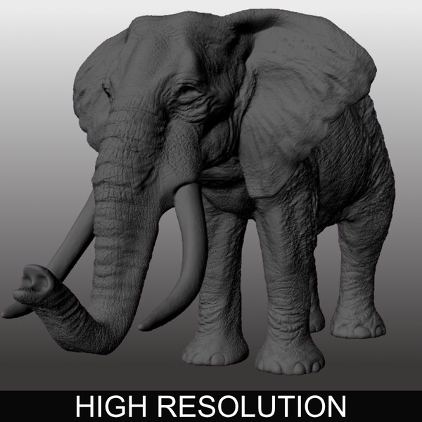 Elephant animations 3D - TurboSquid 1355717