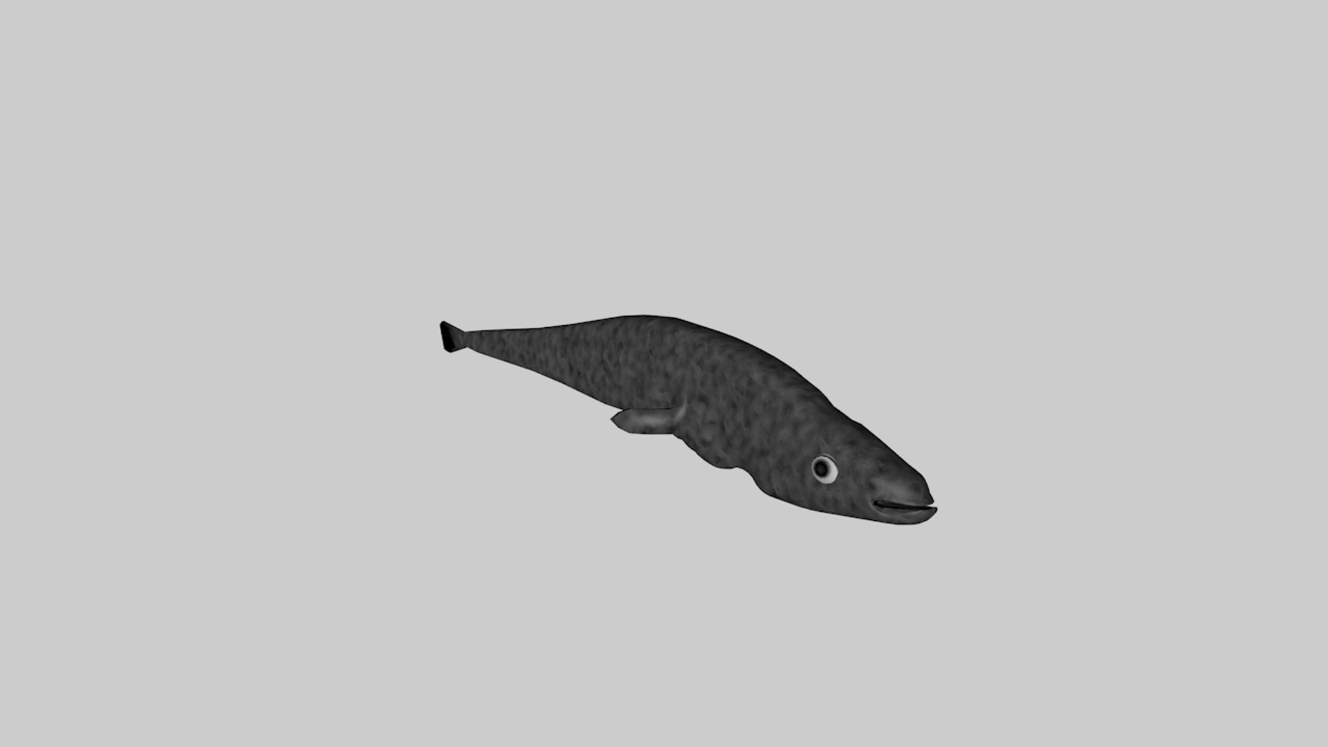 3D Eel Seabedtrip - TurboSquid 1549250