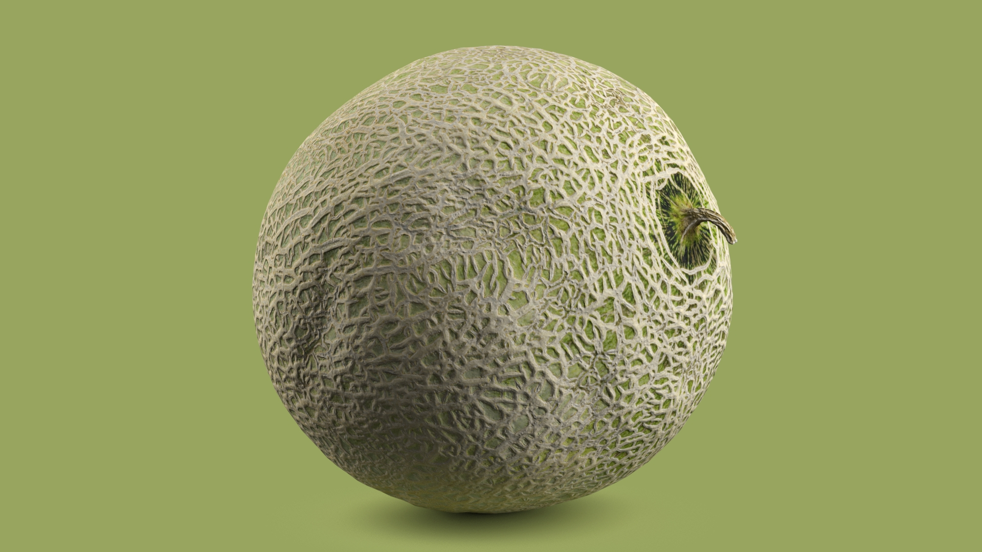 Melon - Cantaloupe 3D Model - TurboSquid 2004476