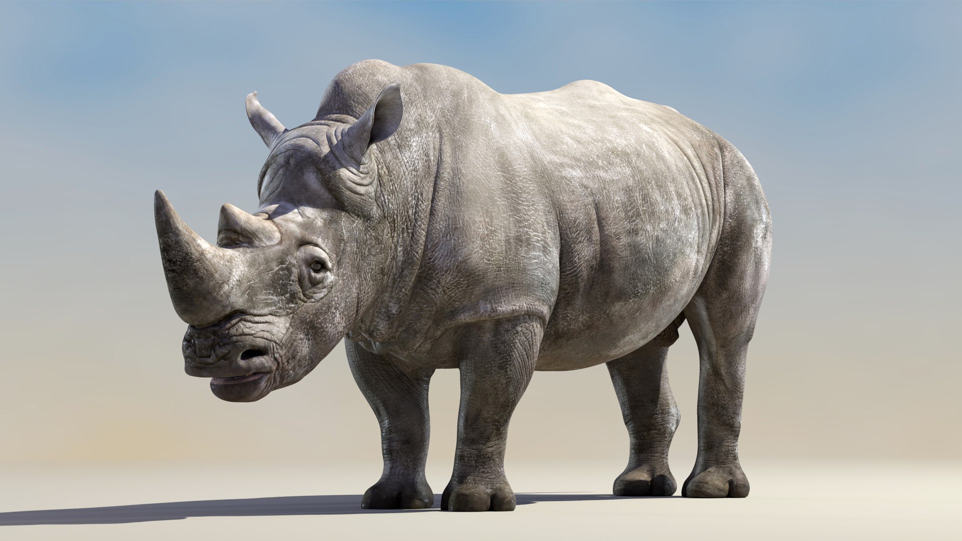 rhino 3d