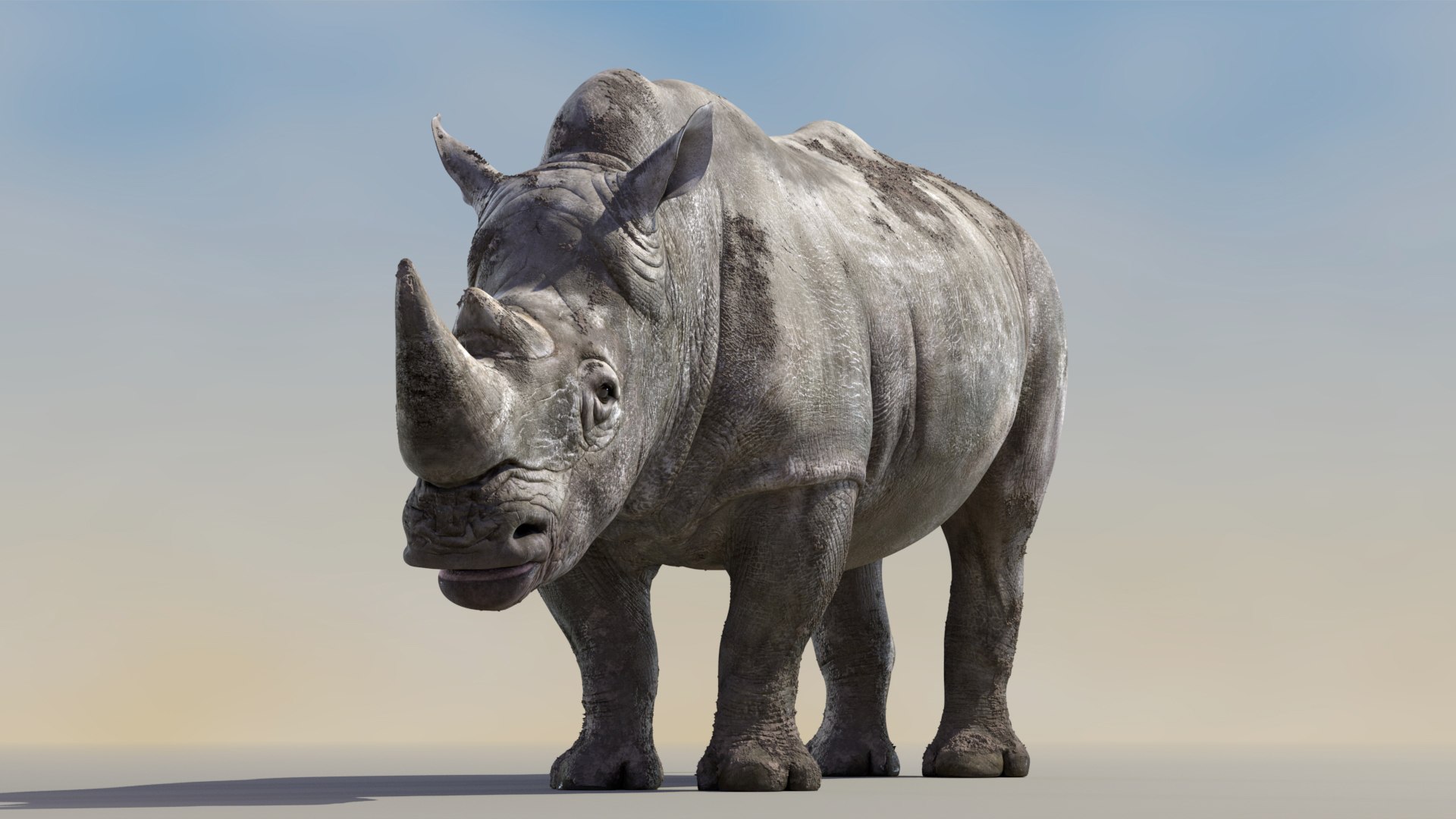Big White Rhino 3D Model - TurboSquid 1737306