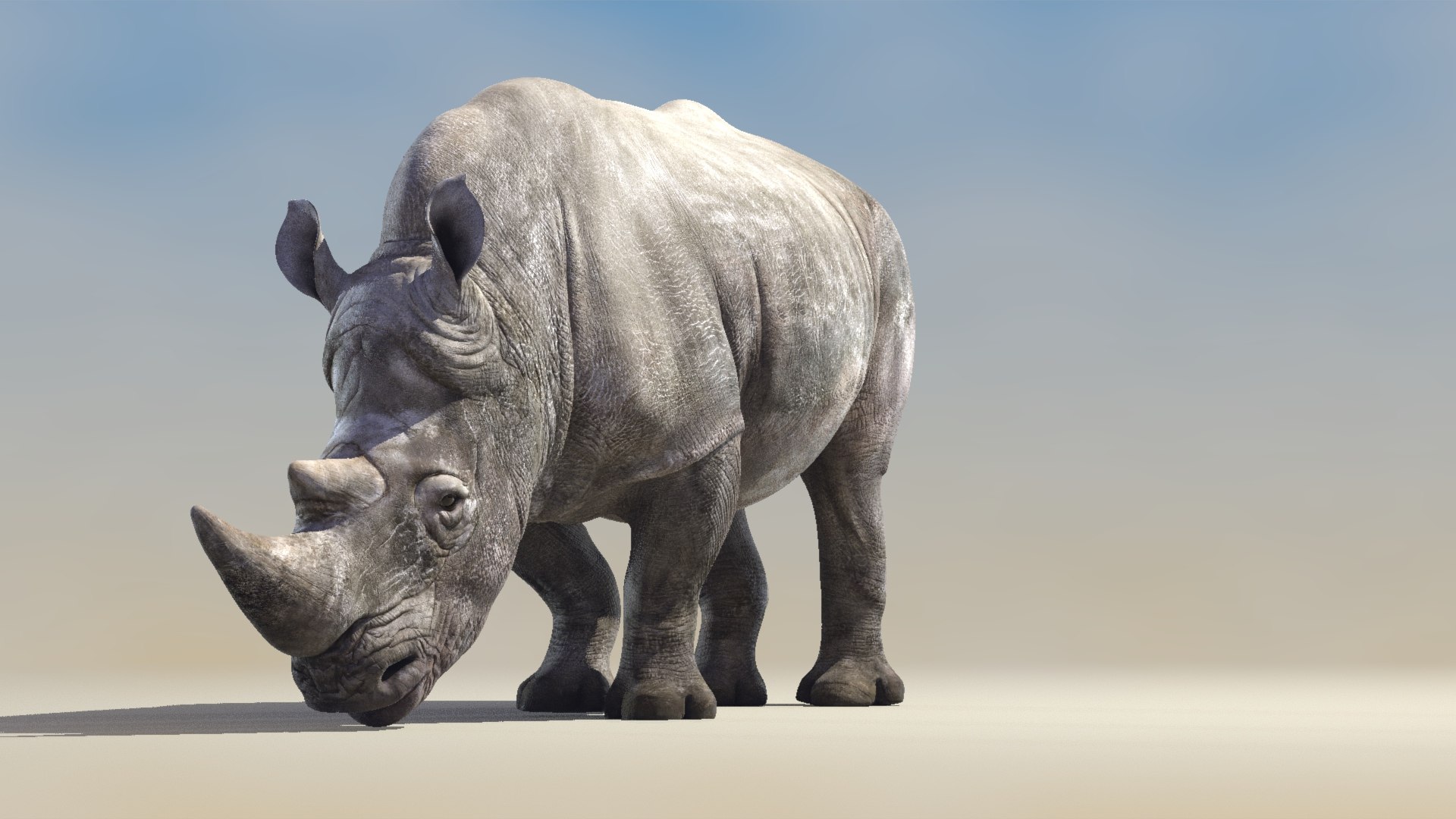 Big White Rhino 3D Model - TurboSquid 1737306
