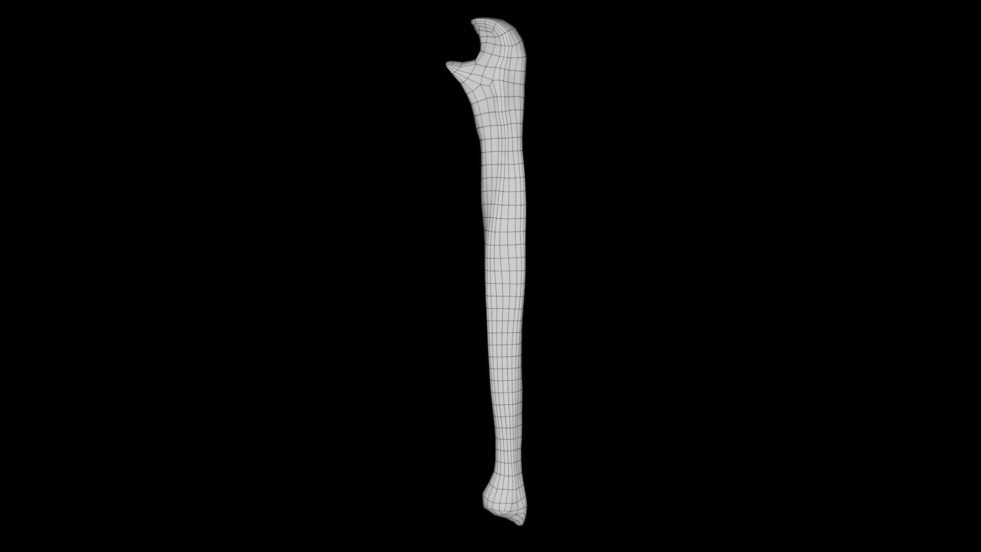 Human Anatomy-Skeletal System-Ulna Bone Model - TurboSquid 2216889