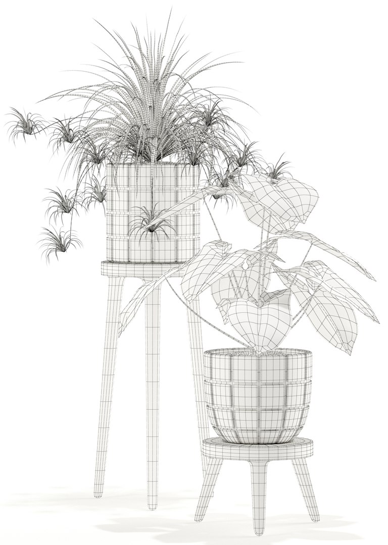 3D Model Plant - TurboSquid 1332393