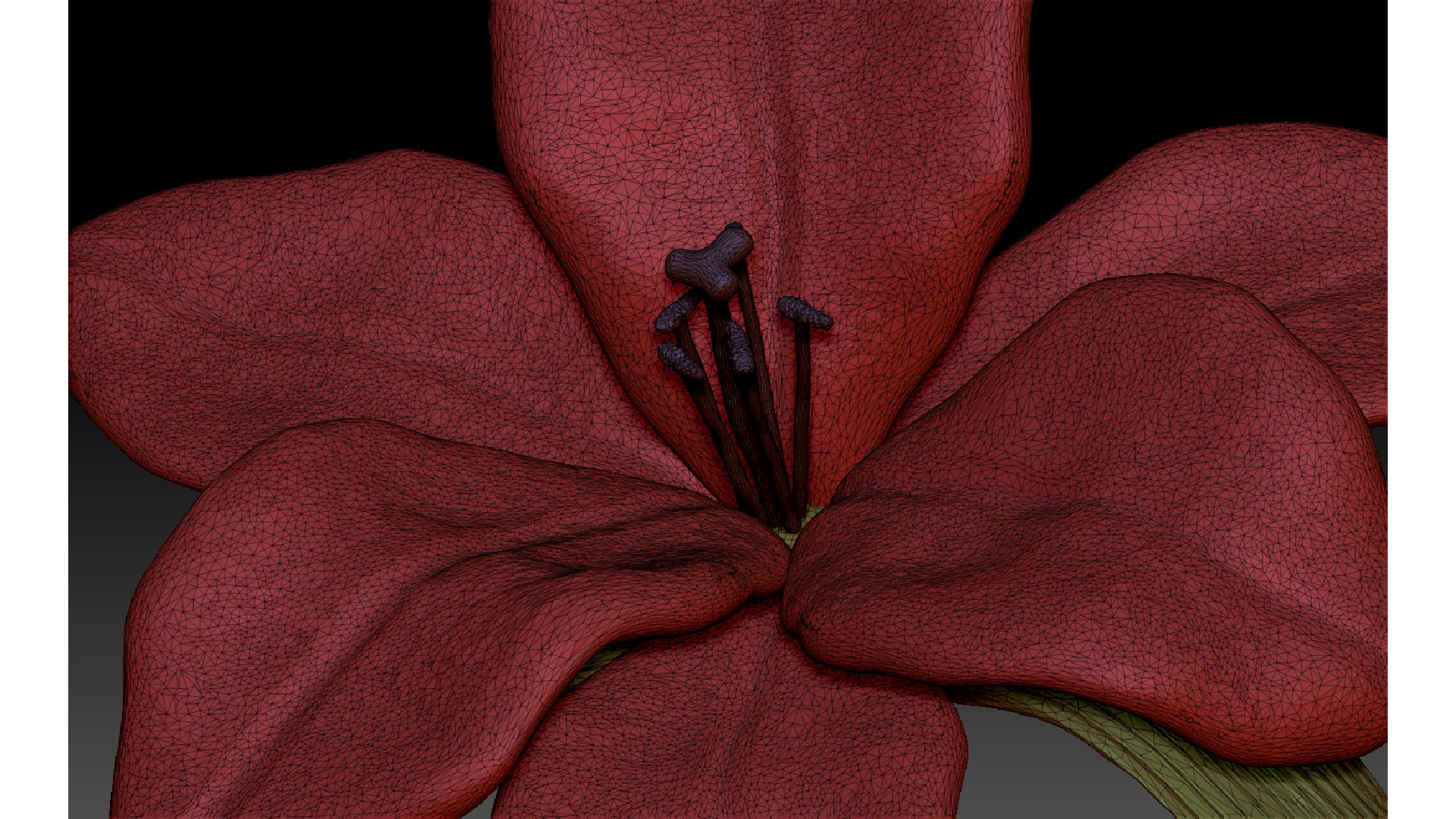 Lilium model - TurboSquid 1724701