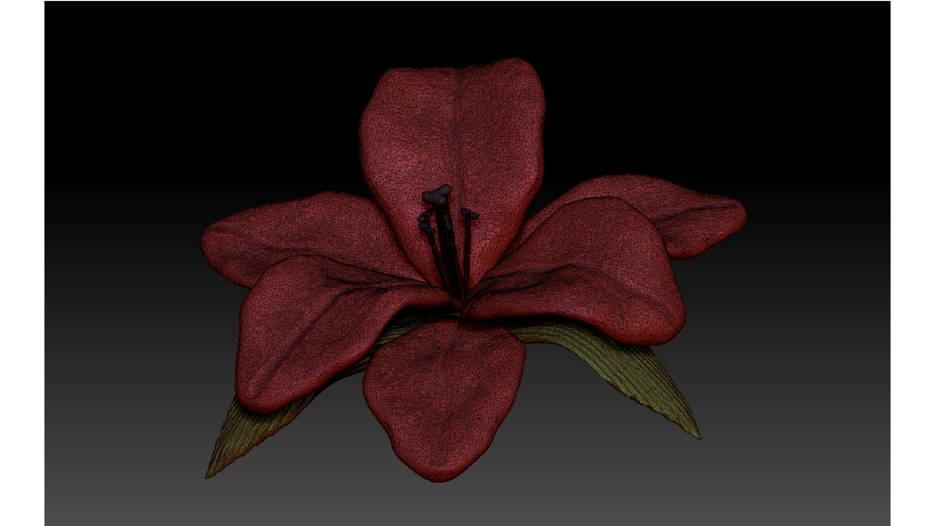 Lilium model - TurboSquid 1724701
