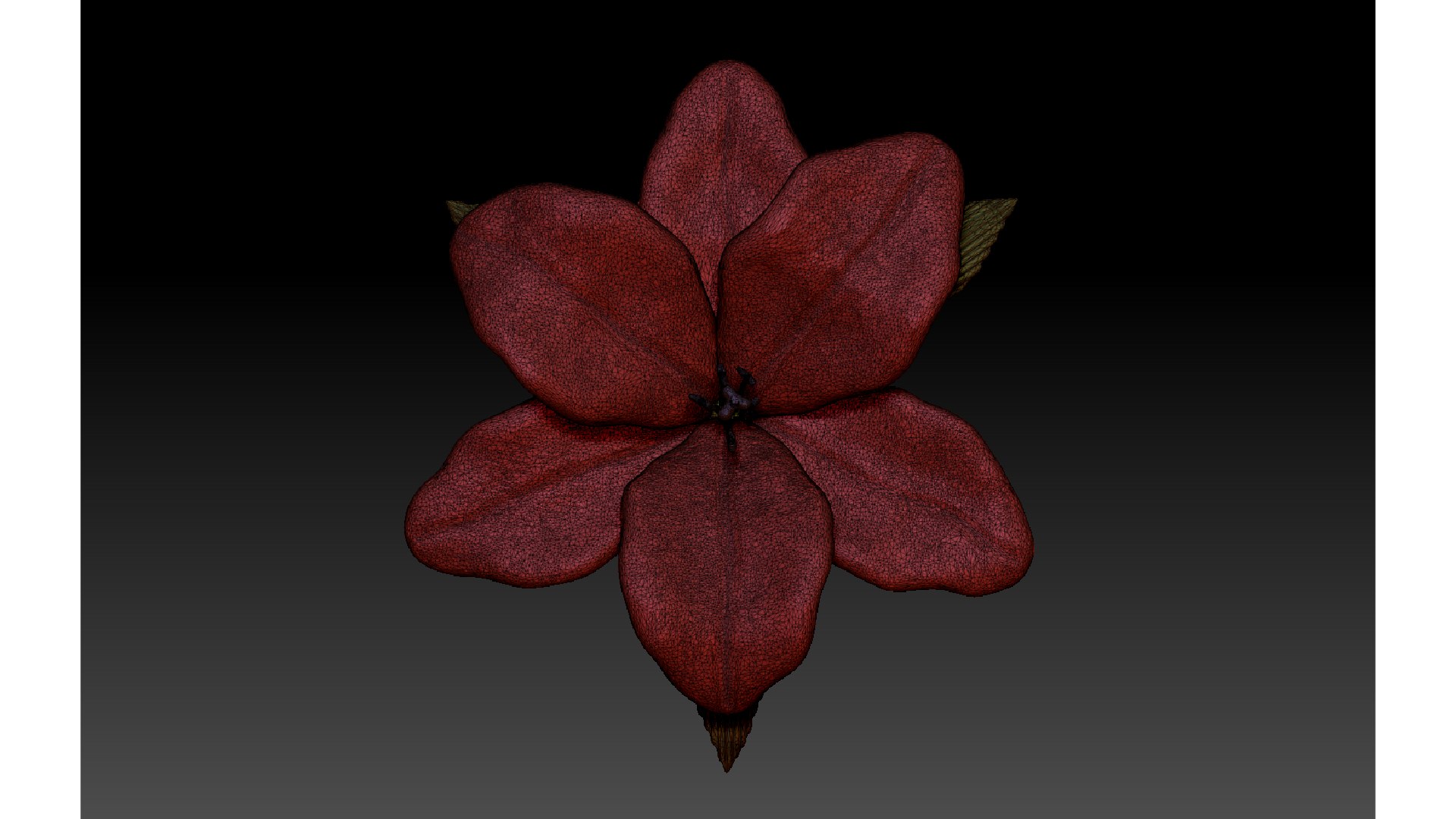Lilium model - TurboSquid 1724701