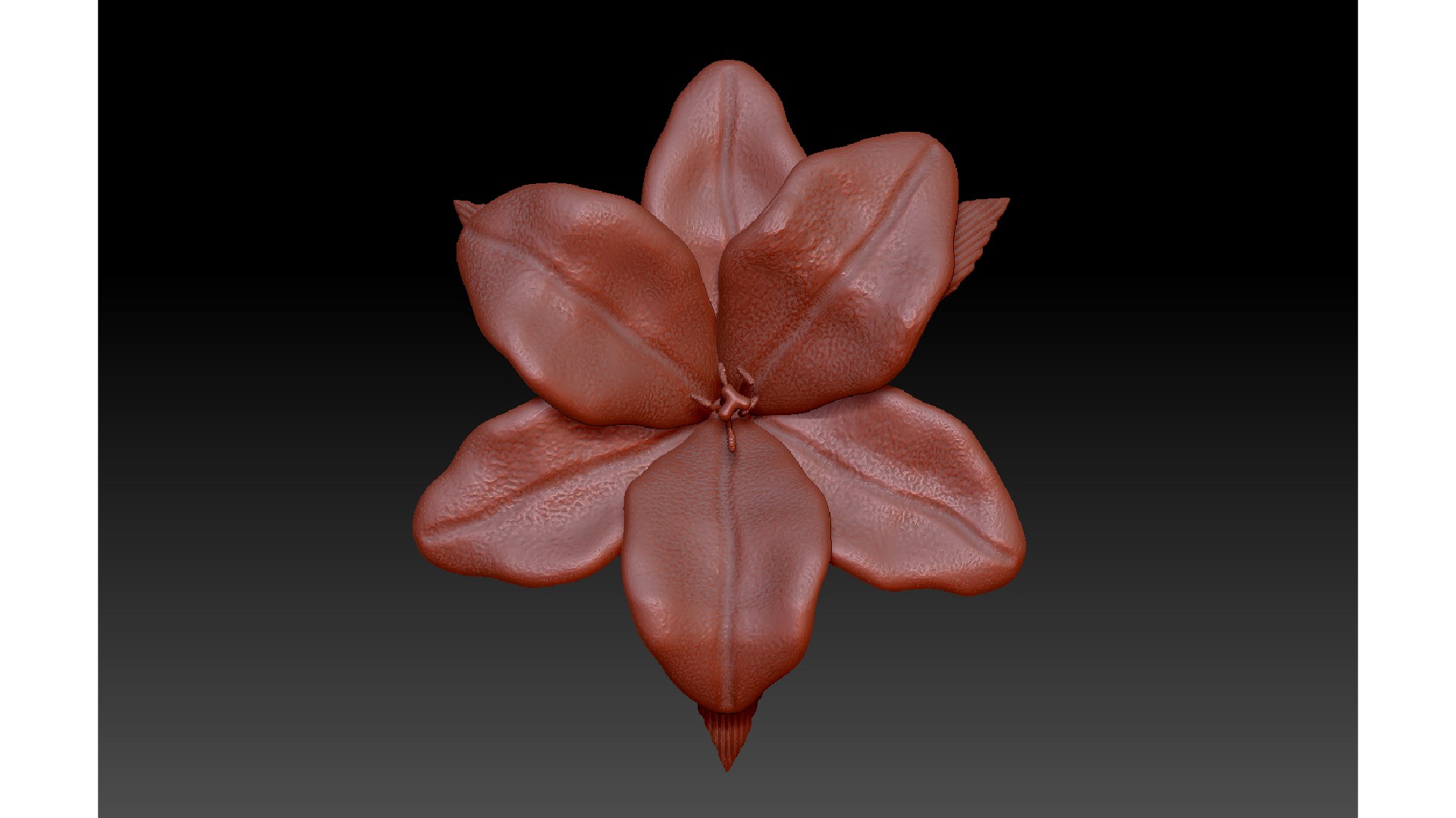 Lilium model - TurboSquid 1724701