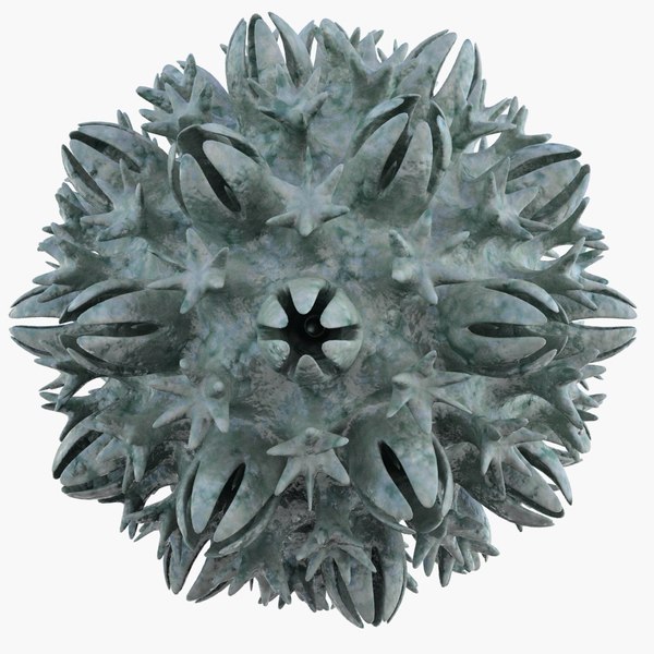 micro object mht obj