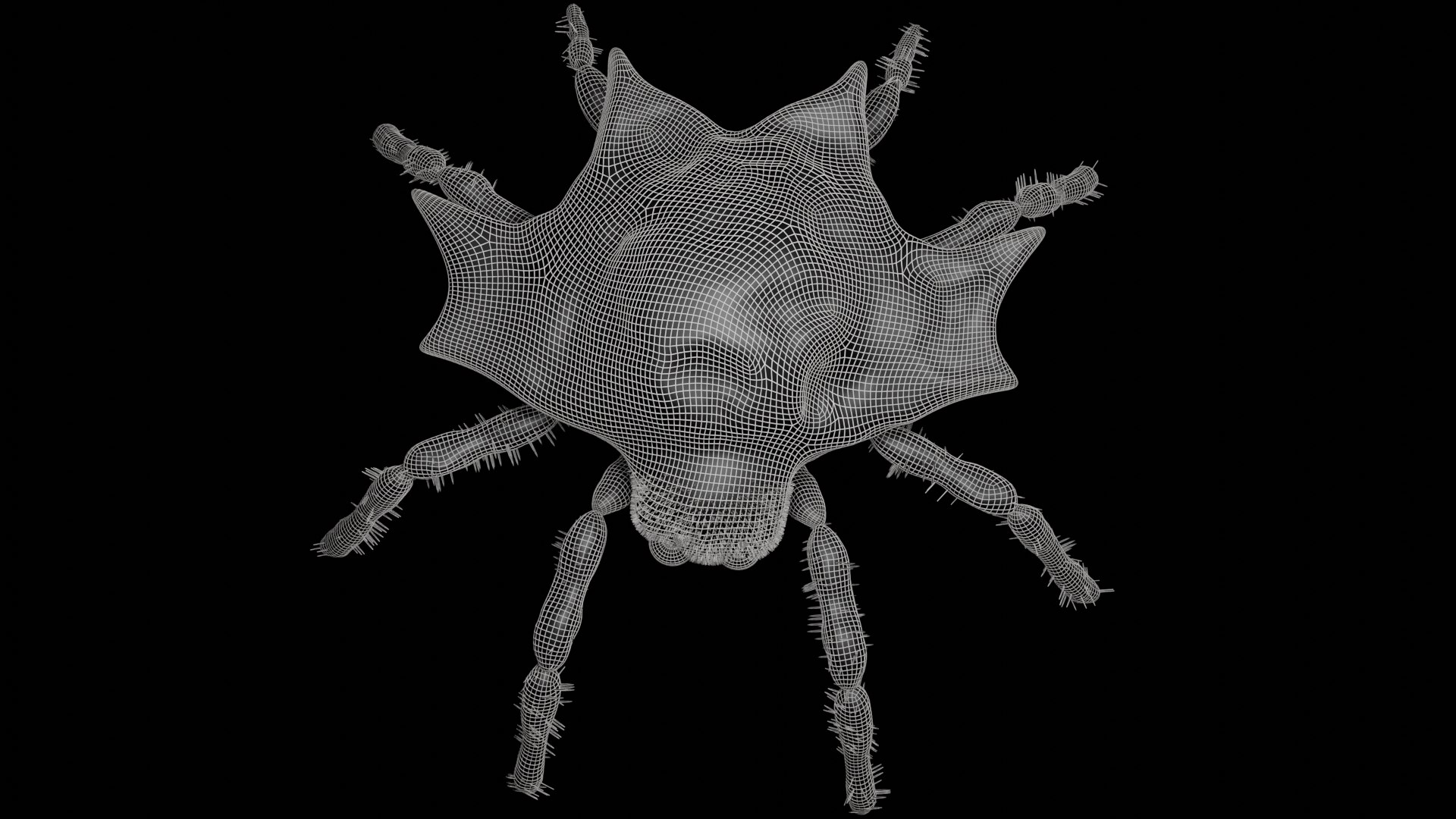 Spider 3D Model - TurboSquid 2395680