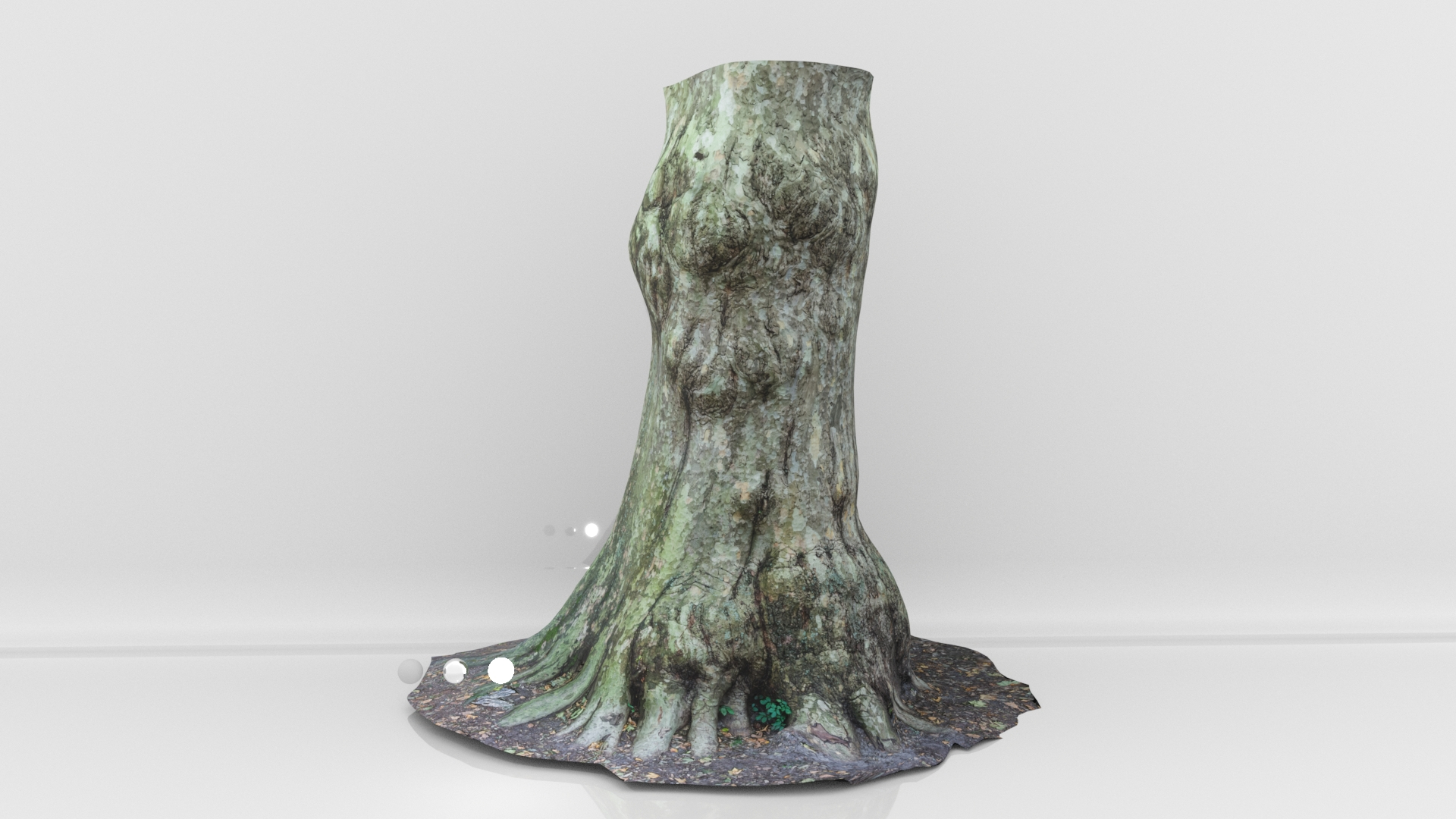 3D Oak Tree Trunk With A Lot Of Roots Model - TurboSquid 1765347