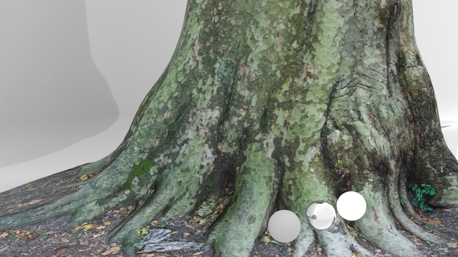 3D Oak Tree Trunk With A Lot Of Roots Model - TurboSquid 1765347