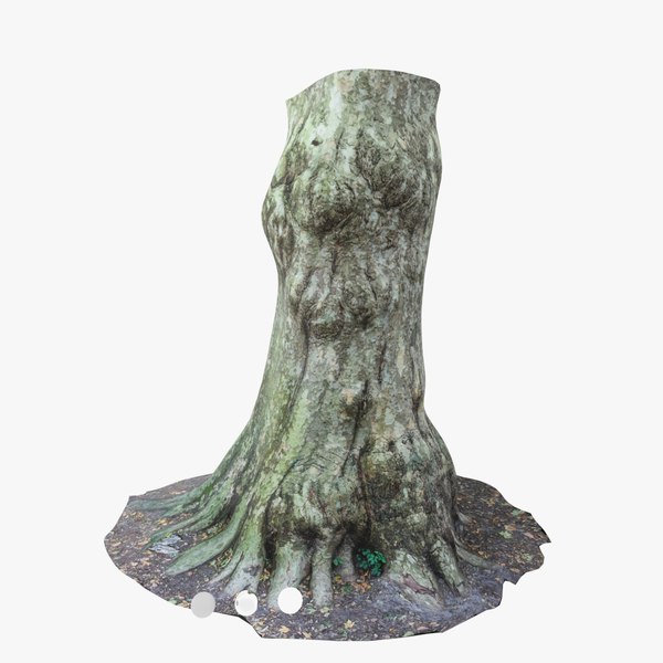 3D Oak Tree Trunk with a lot of roots model - TurboSquid 1765347