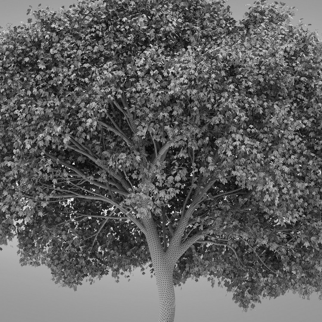 3d Hi Realistic Series Tree