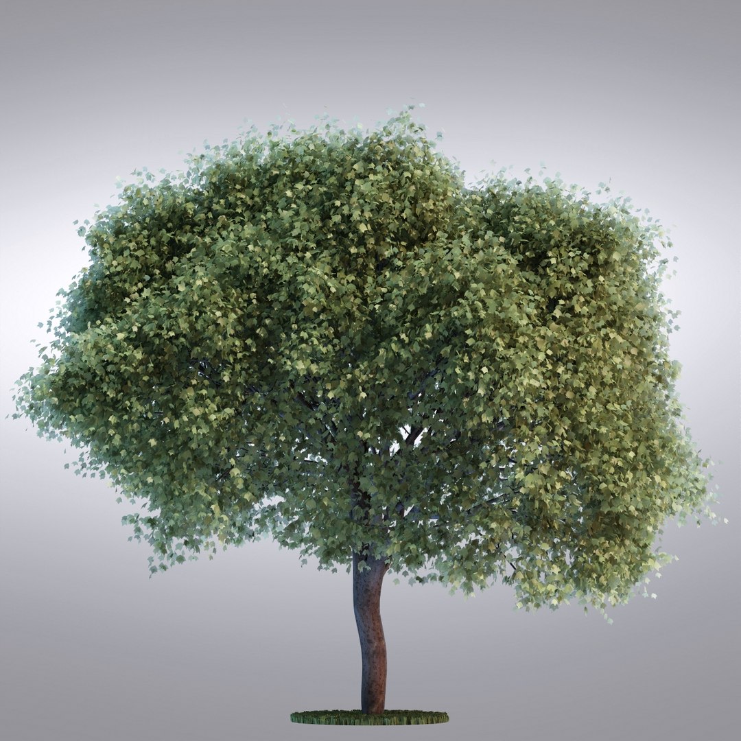 3d Hi Realistic Series Tree