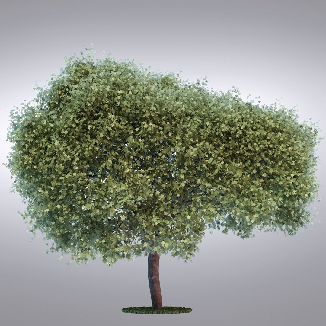 3d Hi Realistic Series Tree