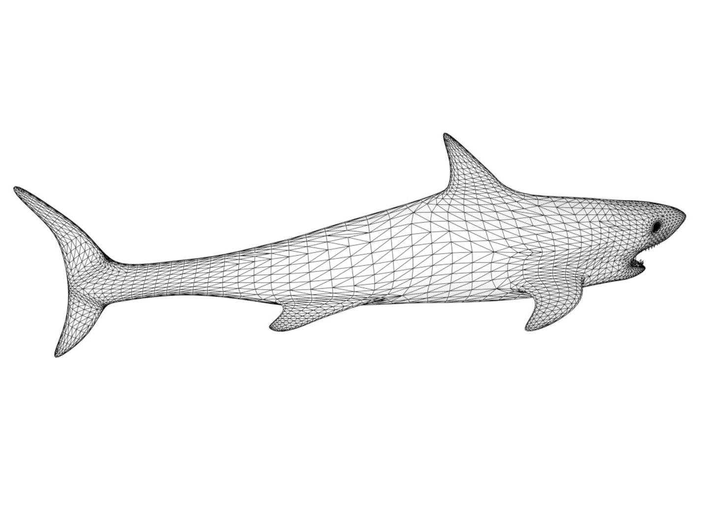 3D Tiburon Shark Model - TurboSquid 1426649
