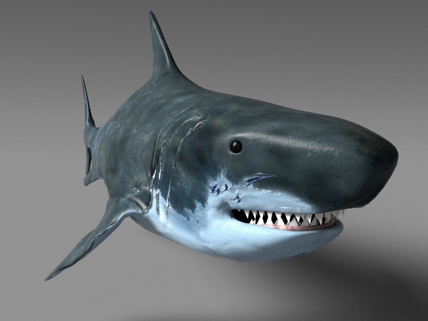 3D Tiburon Shark Model - TurboSquid 1426649