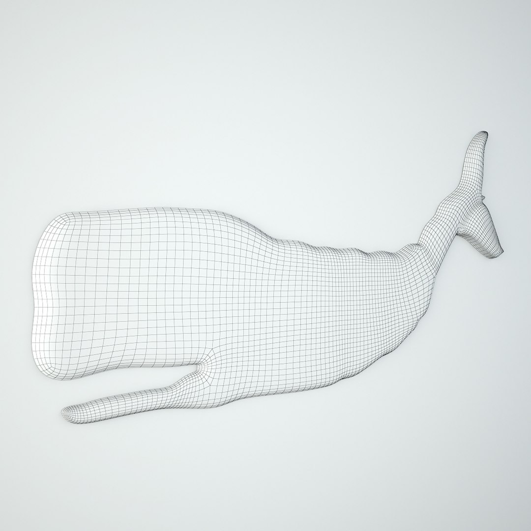 3D Rustic Carved Wooden Whale Model - TurboSquid 2129072