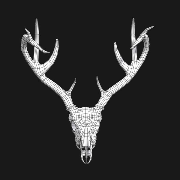 3d model deer skull