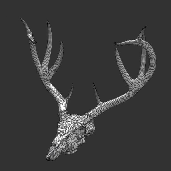 3d model deer skull