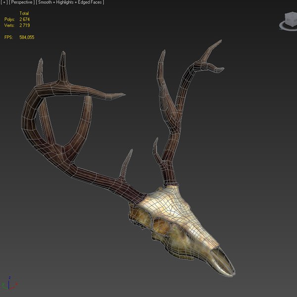 3d model deer skull