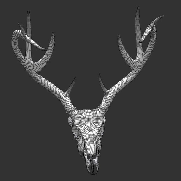 3d model deer skull
