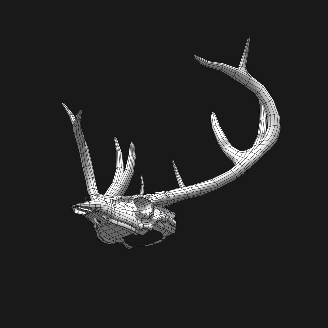 3d Model Deer Skull