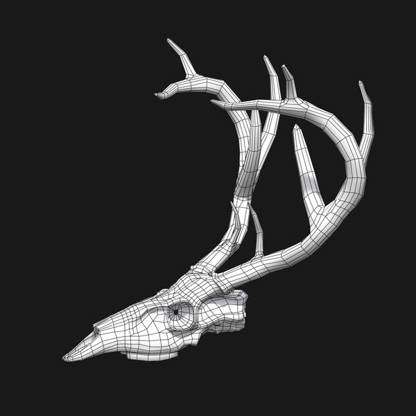3d model deer skull